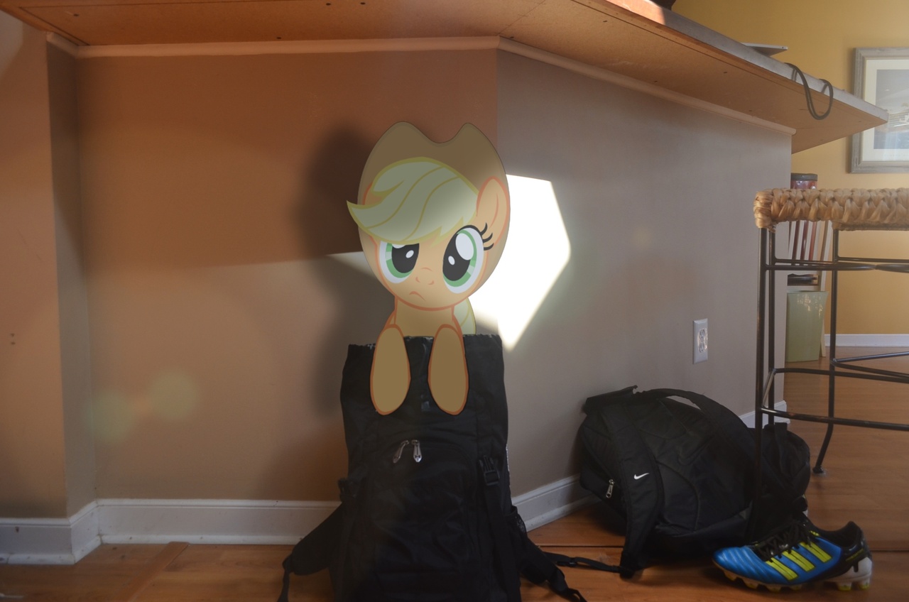 #118934 - safe, artist:oppositebros, applejack, pony, backpack, irl ...