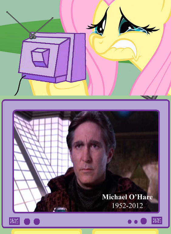 #112195 - safe, fluttershy, pony, g4, babylon 5, exploitable meme ...