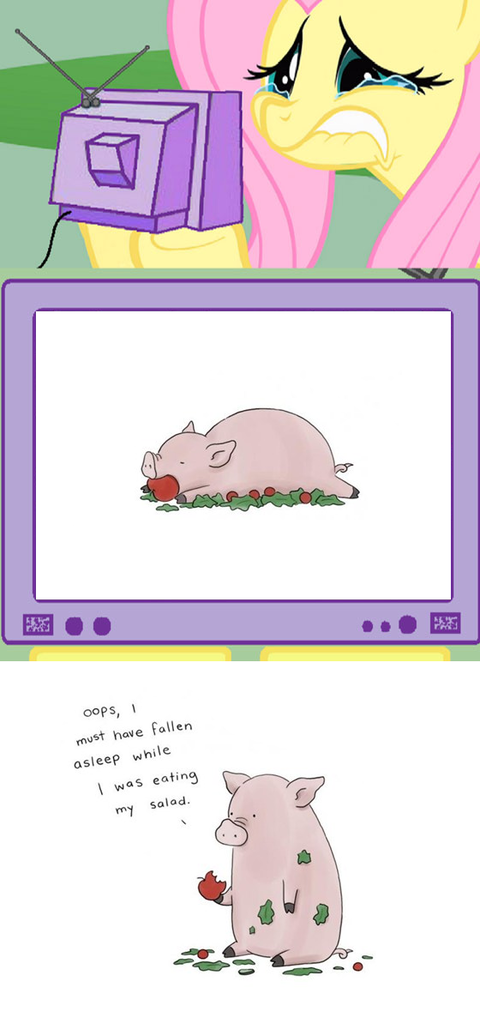 #135769 - safe, fluttershy, pony, exploitable meme, fluttercry, meme ...