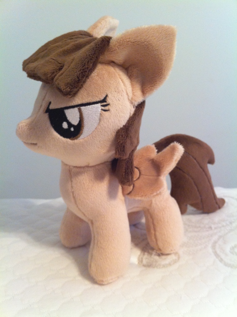 #113900 - safe, artist:planetplush, wild fire, pony, female, filly, irl ...