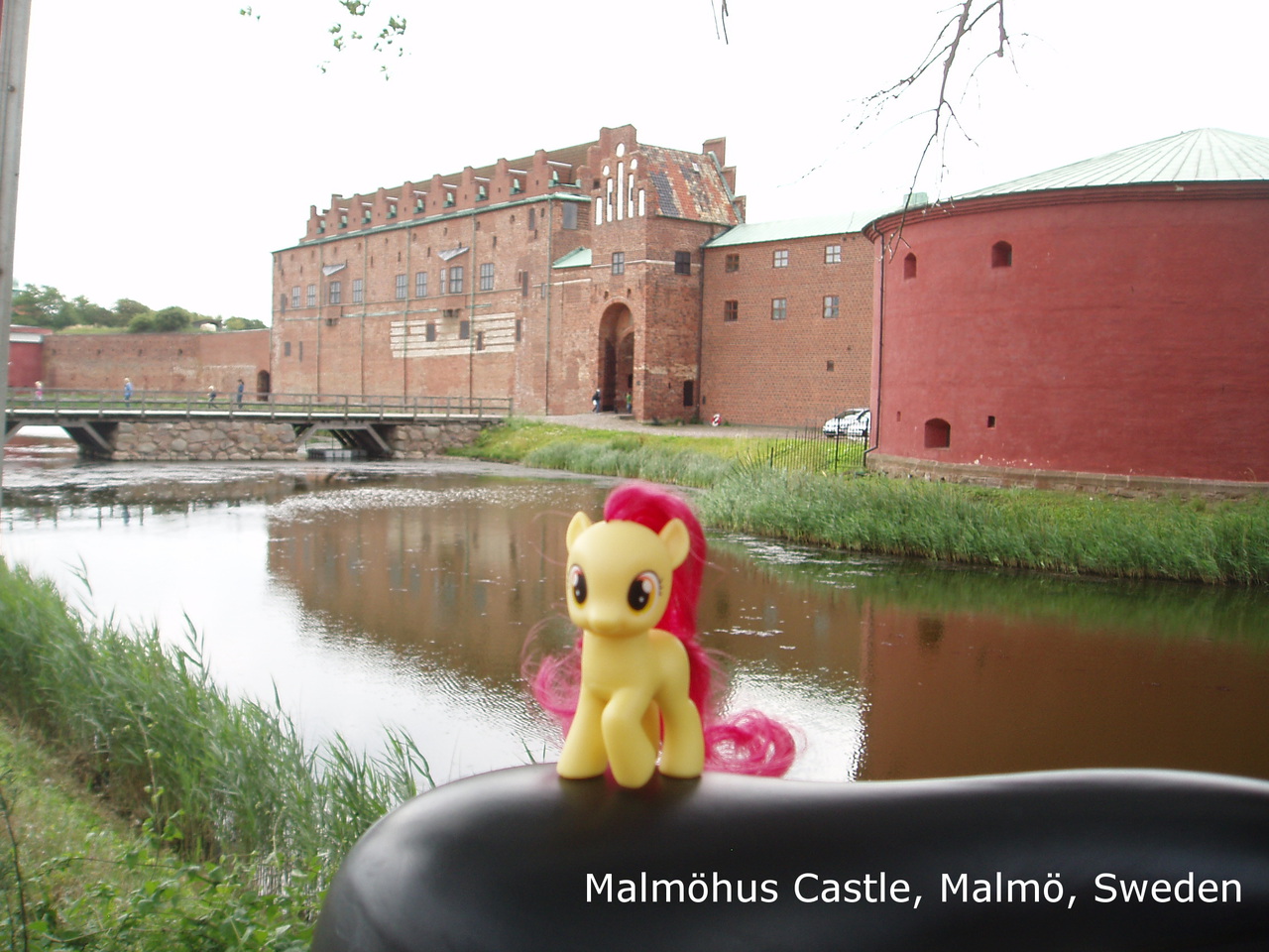 #40645 - safe, apple bloom, earth pony, pony, g4, irl, photo, ponies ...