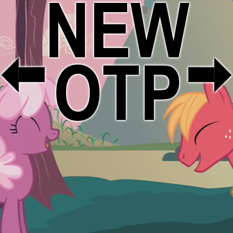 #49462 - safe, exploitable meme, meta, new otp, otp - Derpibooru