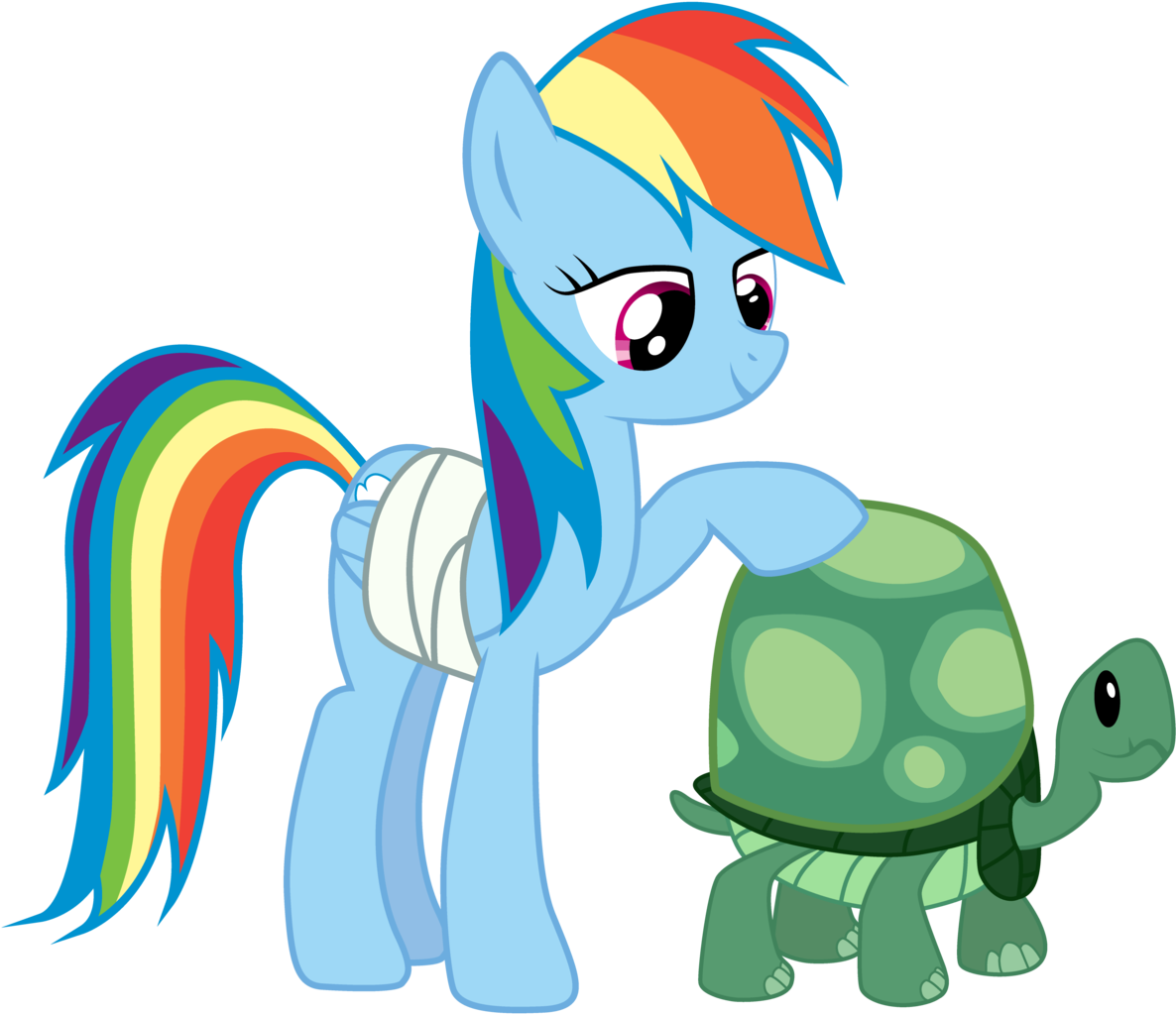 #52229 - safe, artist:joey, rainbow dash, tank, pegasus, pony, tortoise ...