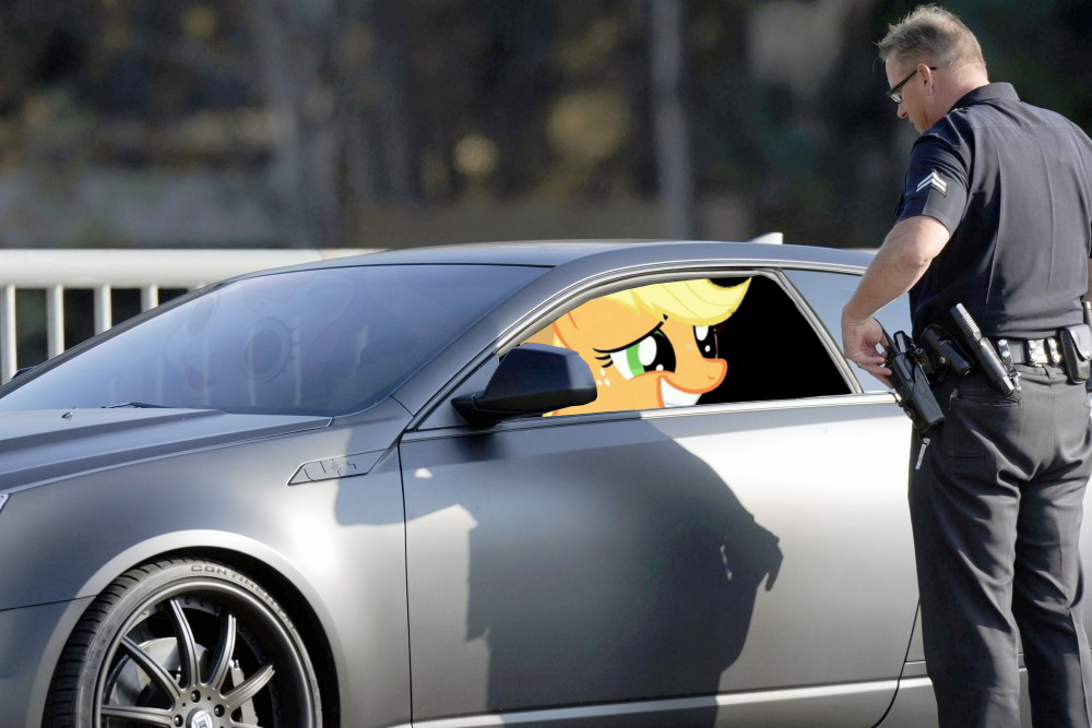 #53480 - safe, applejack, human, pony, g4, car, irl, photo, police ...