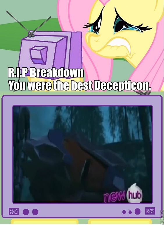 #36186 - safe, fluttershy, pony, breakdown, exploitable meme ...