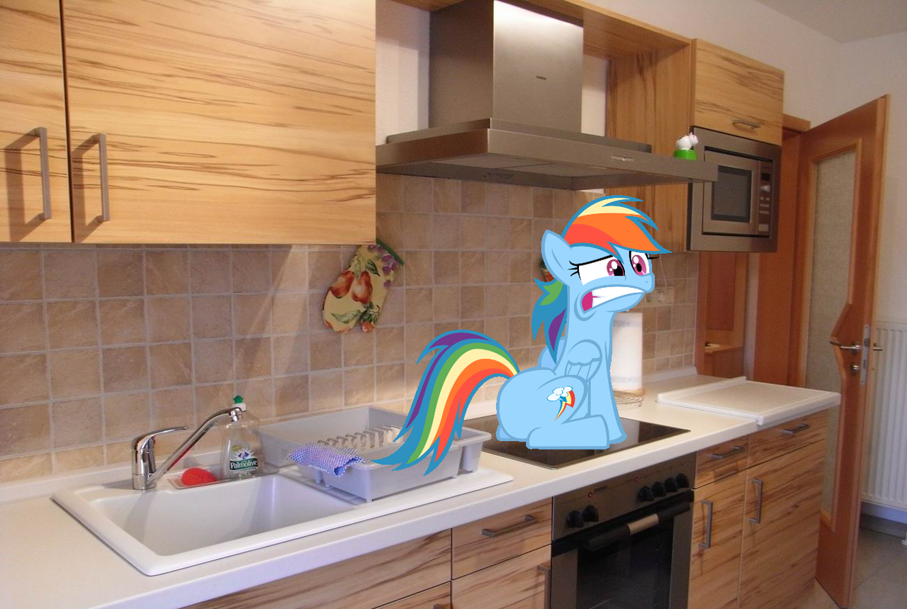 #108621 - safe, rainbow dash, pony, g4, irl, kitchen, photo, ponies in ...