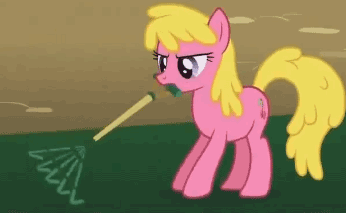 The Rake Pony