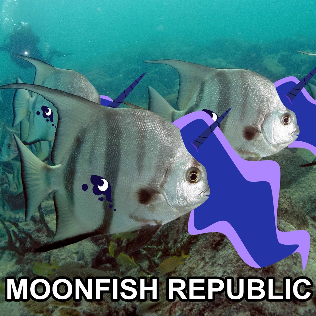 #214111 - safe, artist:lilinyancatlolol, princess luna, fish, g4 ...