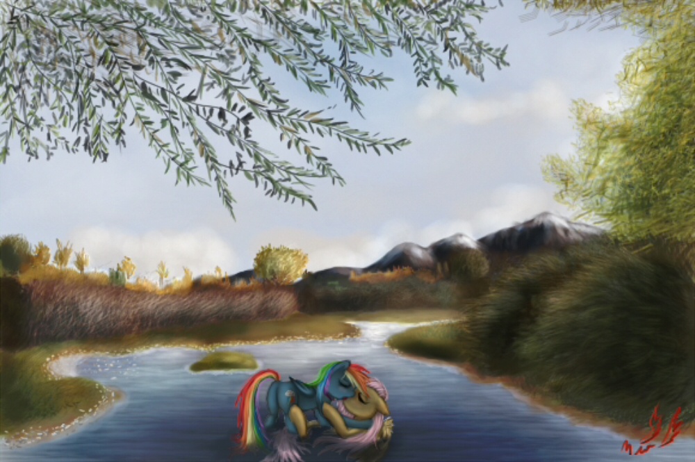 #216284 - safe, artist:miokomata, fluttershy, rainbow dash, pegasus ...