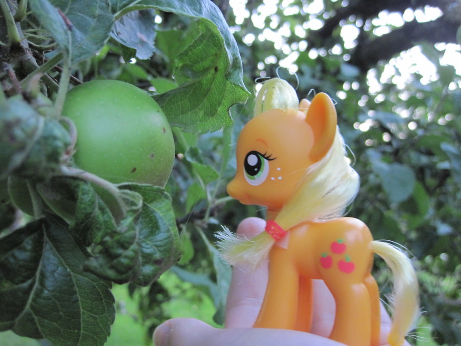 #218212 - safe, artist:rinusaka, applejack, apple, brushable, irl ...
