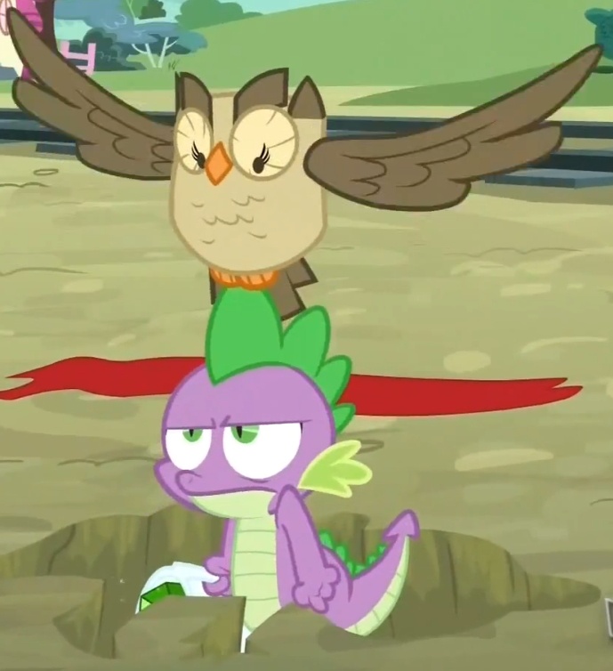 #224566 - safe, screencap, owlowiscious, spike, bird, owl, g4, just for ...