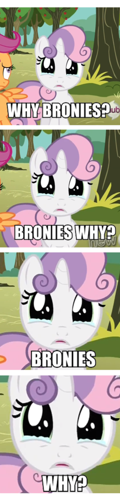 #201818 - safe, sweetie belle, g4, crying, sad, tenso, why - Derpibooru