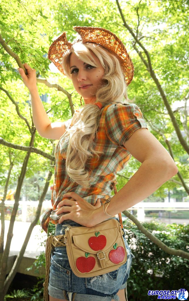 #445897 - safe, artist:rose0fmay, applejack, human, cosplay, irl, irl ...