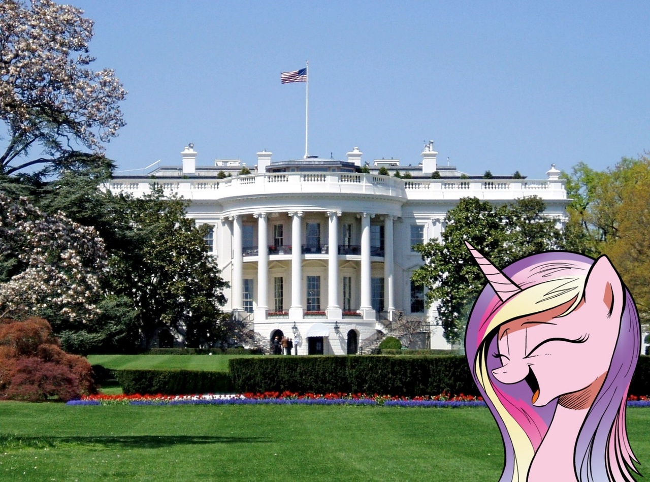 #442235 - safe, princess cadance, cadance laughs at your misery ...