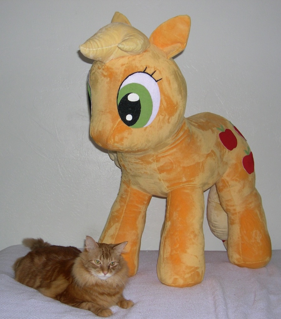 #444723 - safe, artist:bladespark, applejack, cat, g4, hatless, irl ...