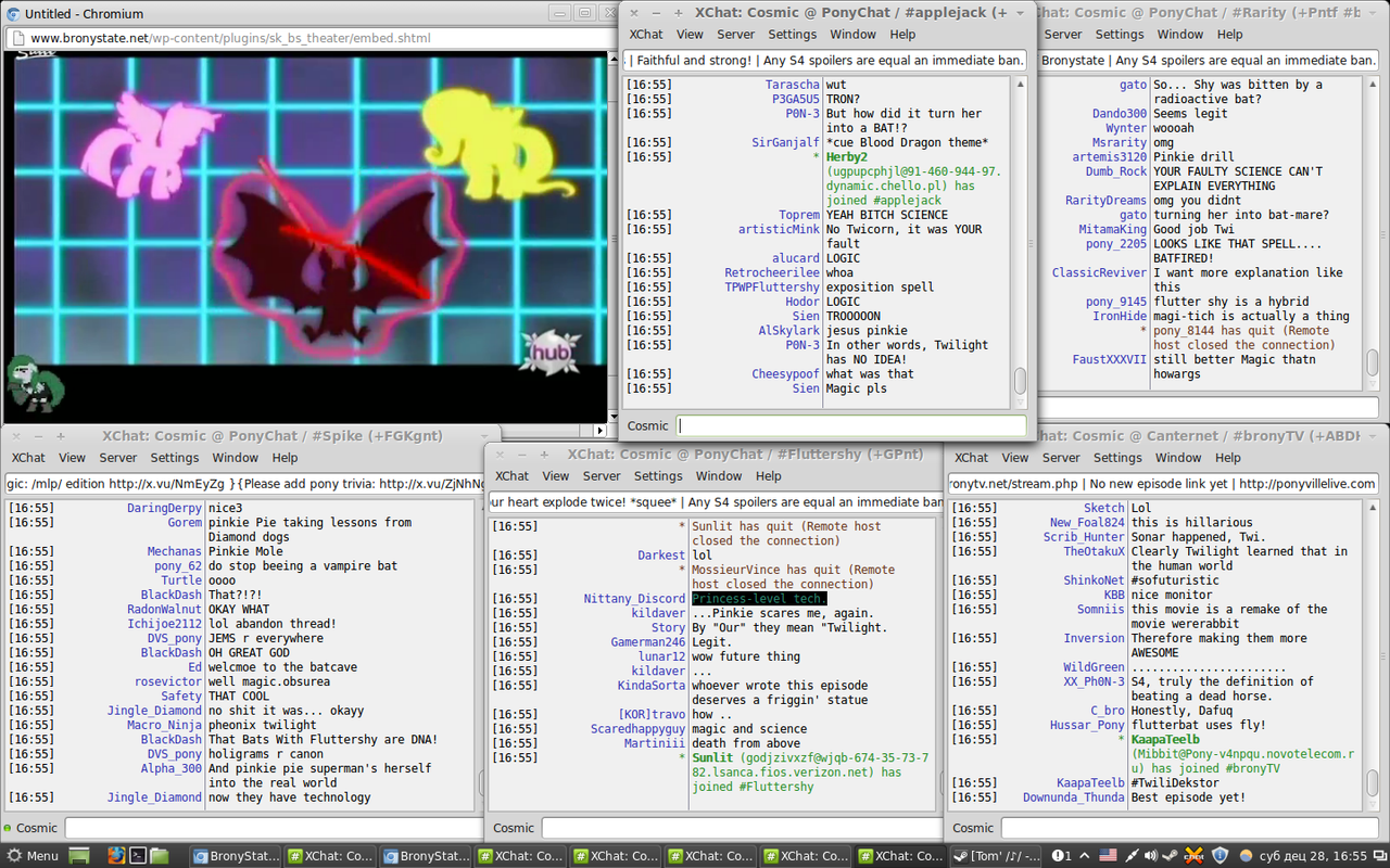 #508208 - safe, fluttershy, twilight sparkle, bat, bats!, g4, chat ...