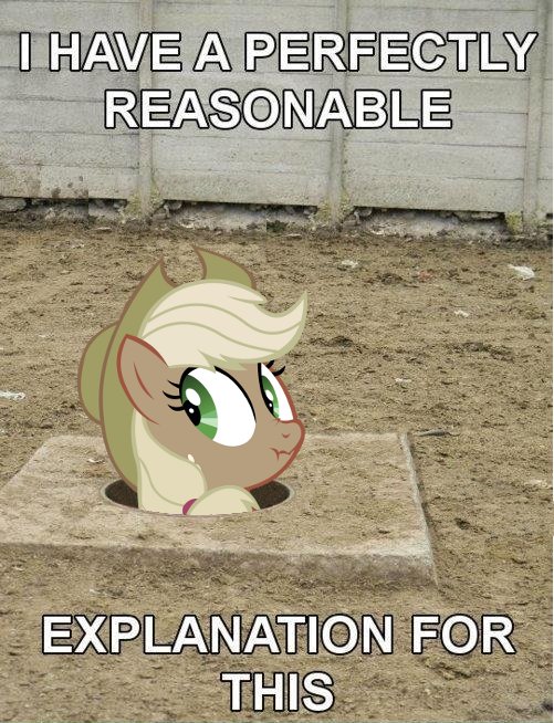 #241416 - safe, applejack, hole, image macro, liar face, liarjack ...