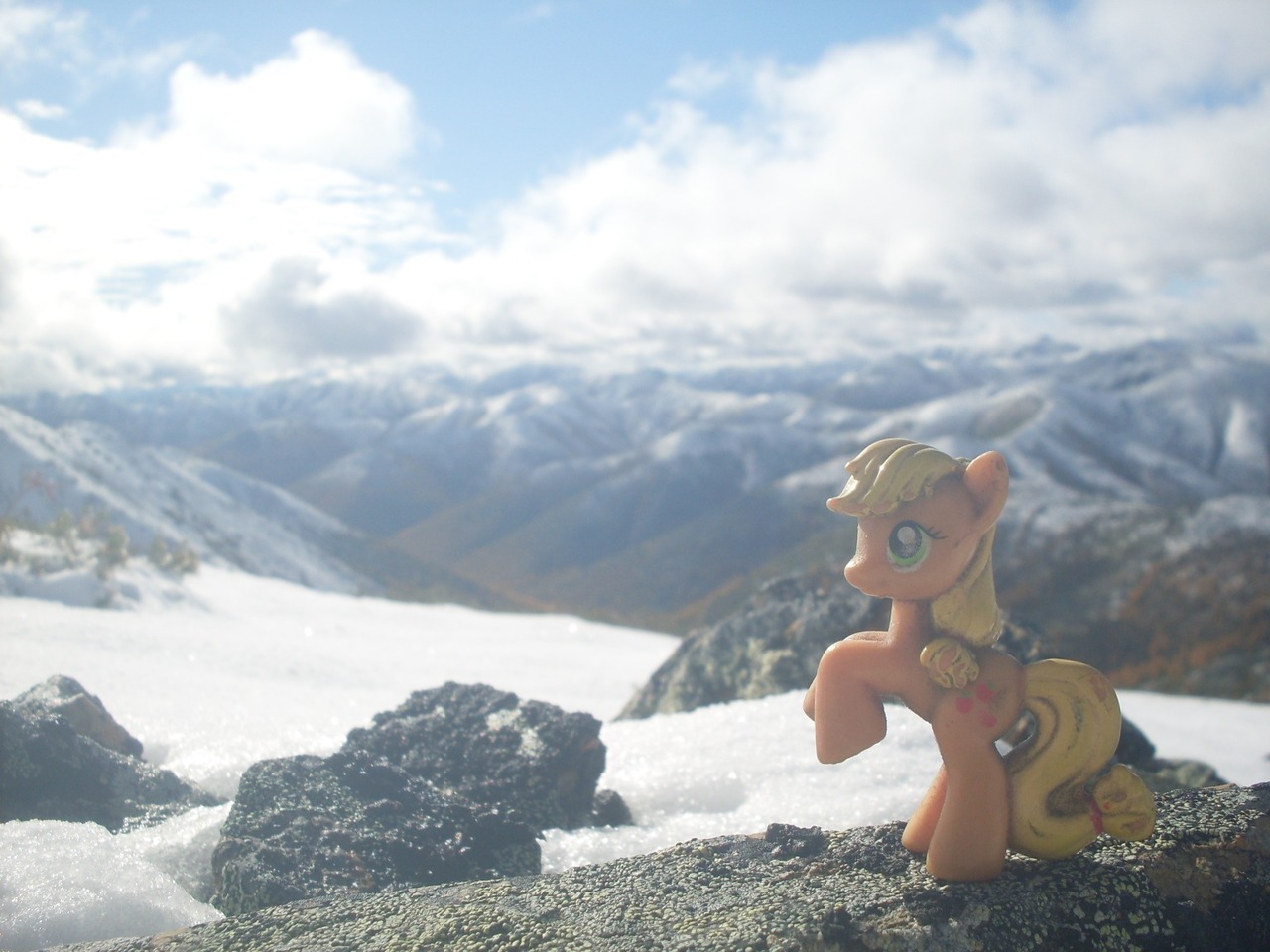 #233638 - safe, applejack, blind bag, irl, photo, scenery, toy - Derpibooru