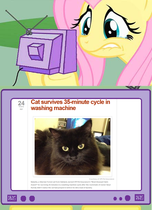 #236974 - safe, fluttershy, g4, exploitable meme, fluttercry, tv meme ...