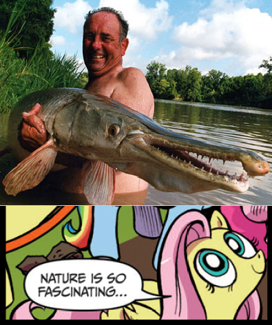 #294111 - safe, edit, idw, fluttershy, fish, pegasus, pony, g4 ...