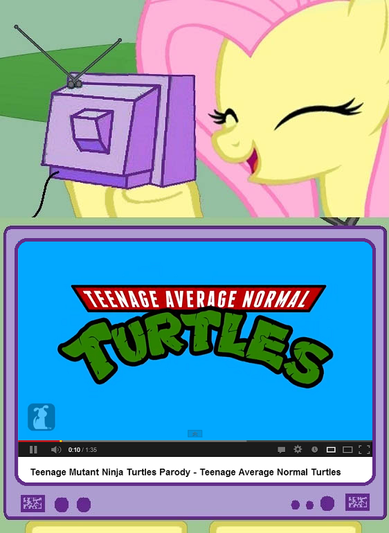 #294170 - safe, fluttershy, g4, exploitable meme, teenage mutant ninja ...