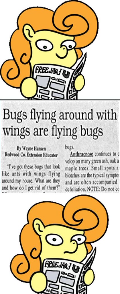 #331211 - safe, artist:muffinexplosion, carrot top, golden harvest ...