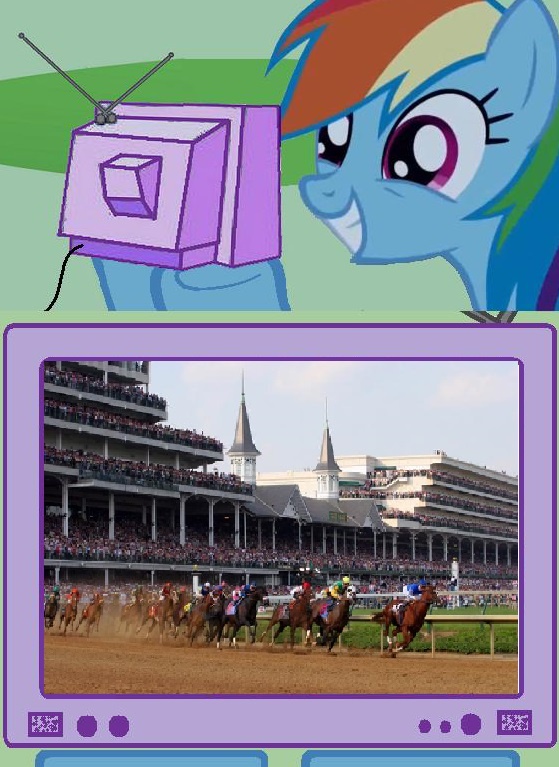 #315853 - safe, rainbow dash, g4, exploitable meme, horse racing ...