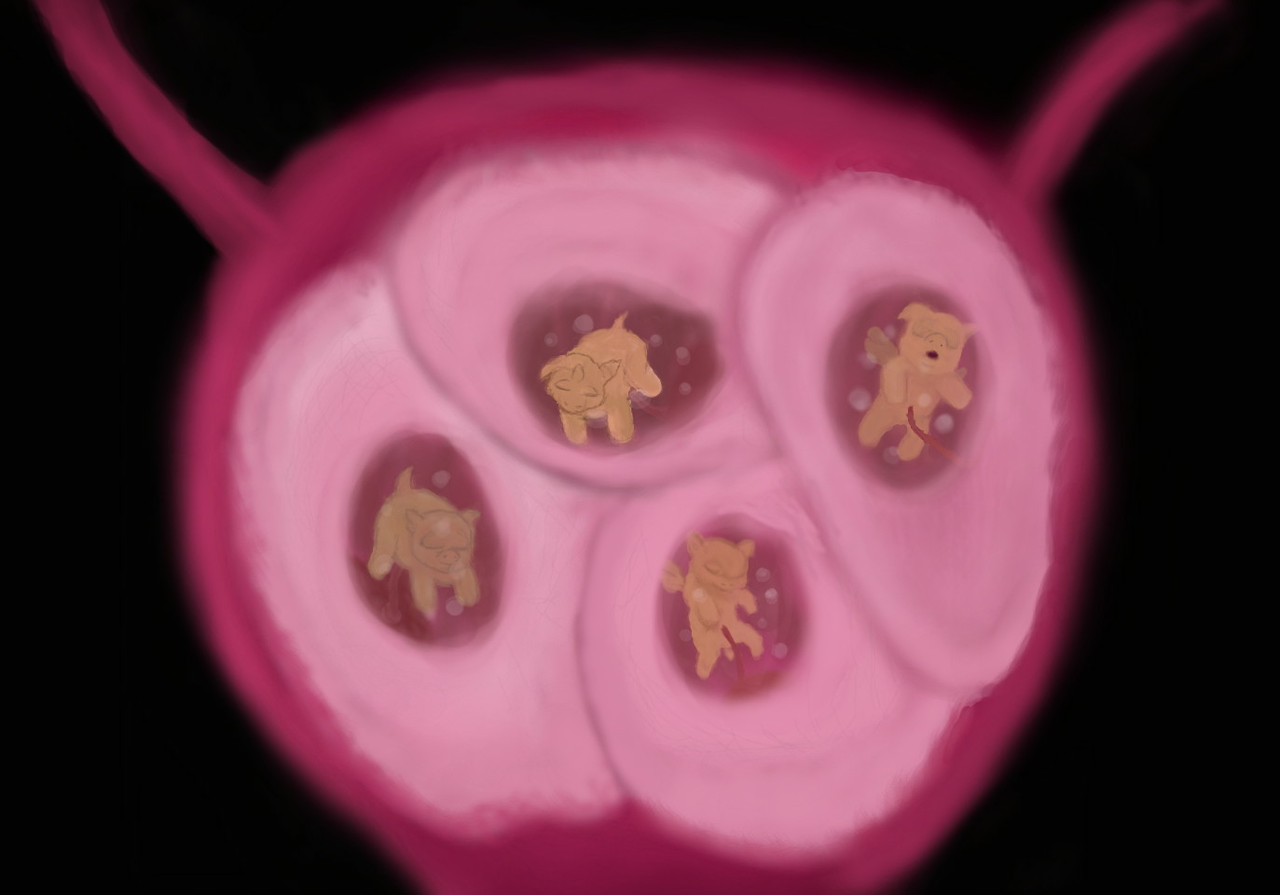 #338175 - safe, artist:mr tiggly the wiggly walnut, fluffy pony, fluffy ...