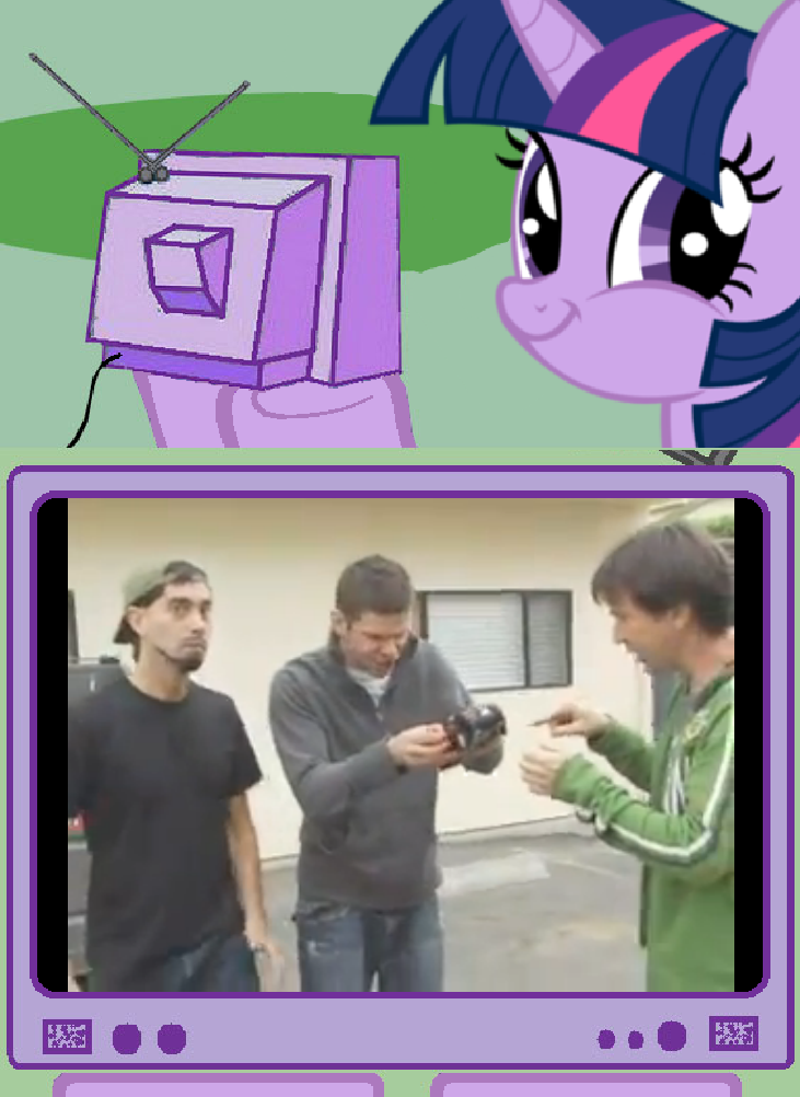 #338664 - safe, twilight sparkle, david blaine, david blaine street ...