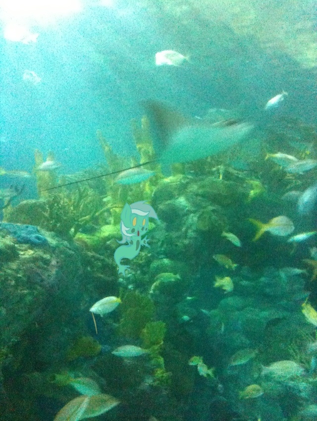 #359963 - safe, artist:thealmightydove, lyra heartstrings, fish, sea ...