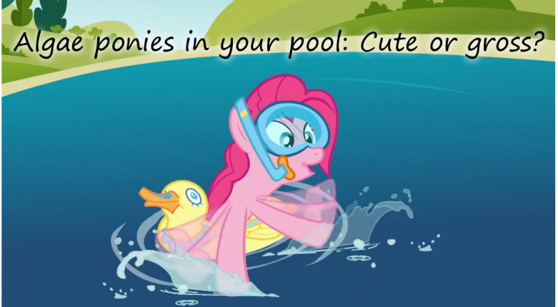 #360426 - safe, edit, edited screencap, screencap, pinkie pie, duck ...