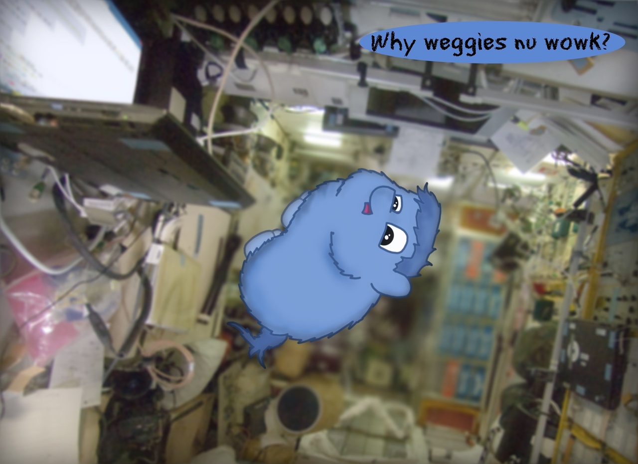 #340877 - safe, artist:gowdie, fluffy pony, international space station ...