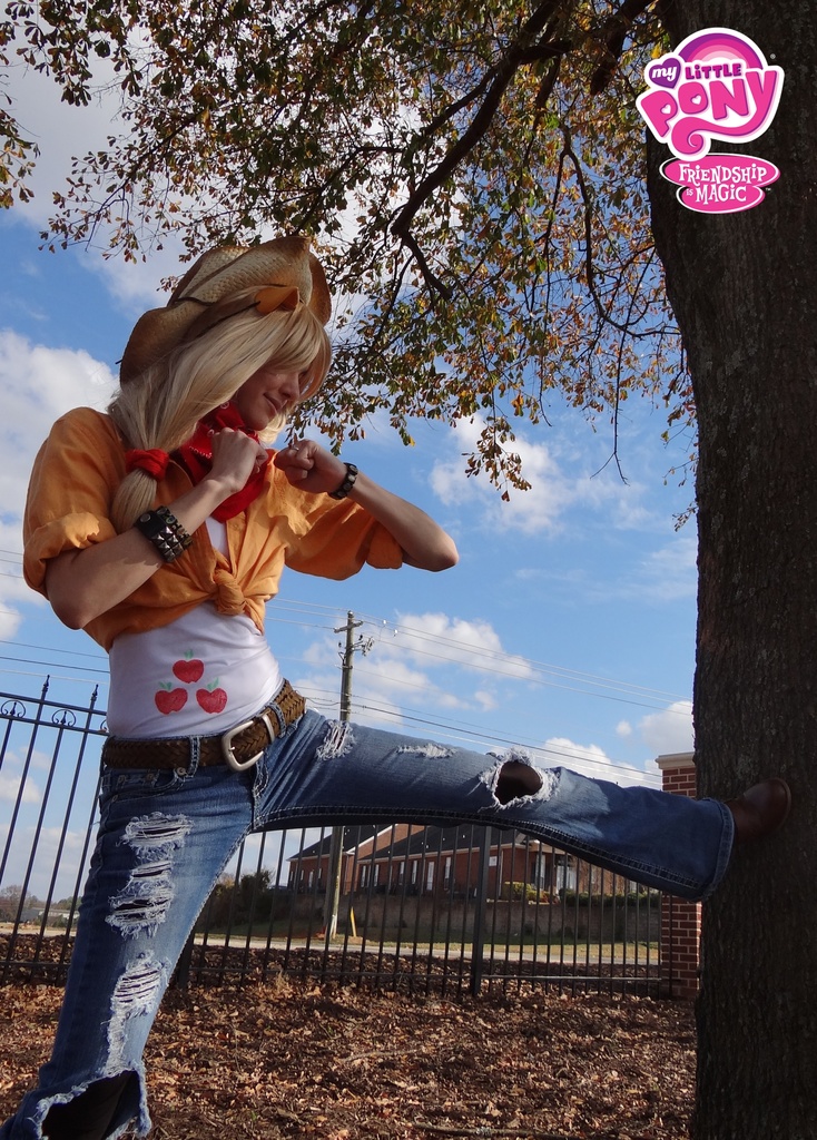 #377928 - safe, artist:strange-black-cat, applejack, human, cosplay ...