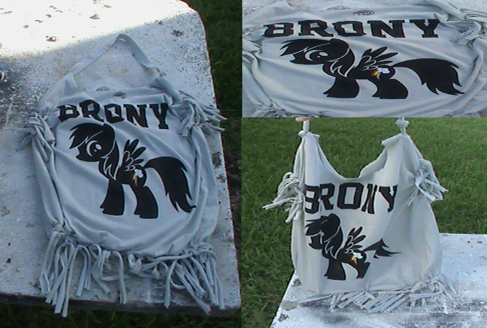 #408428 - safe, artist:krazykari, rainbow dash, bag, brony, customized ...