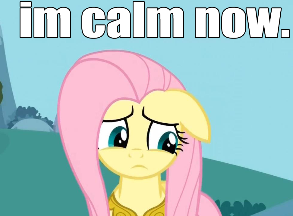 #436877 - safe, fluttershy, calm down, female, image macro, solo ...