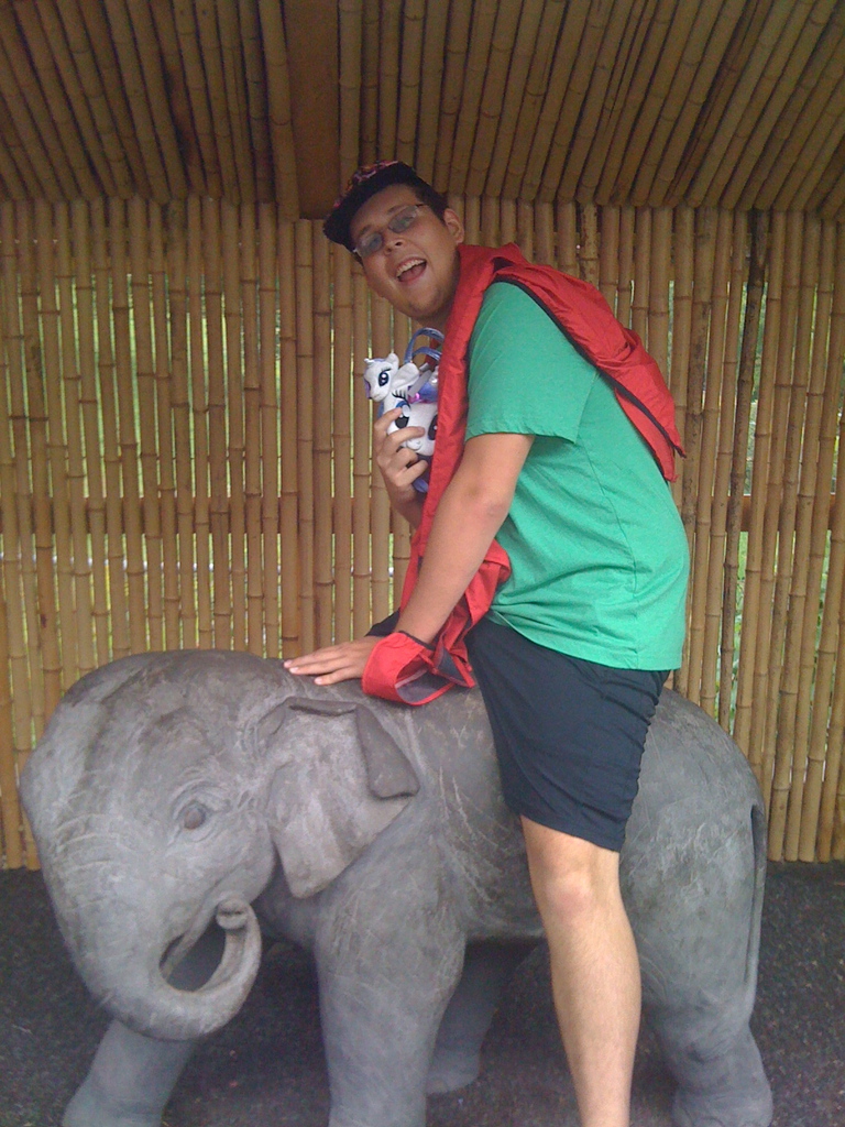 #527090 - safe, rarity, human, g4, irl, irl human, merchandise, photo ...