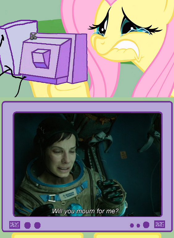 #528050 - safe, fluttershy, g4, exploitable meme, gravity, meme ...