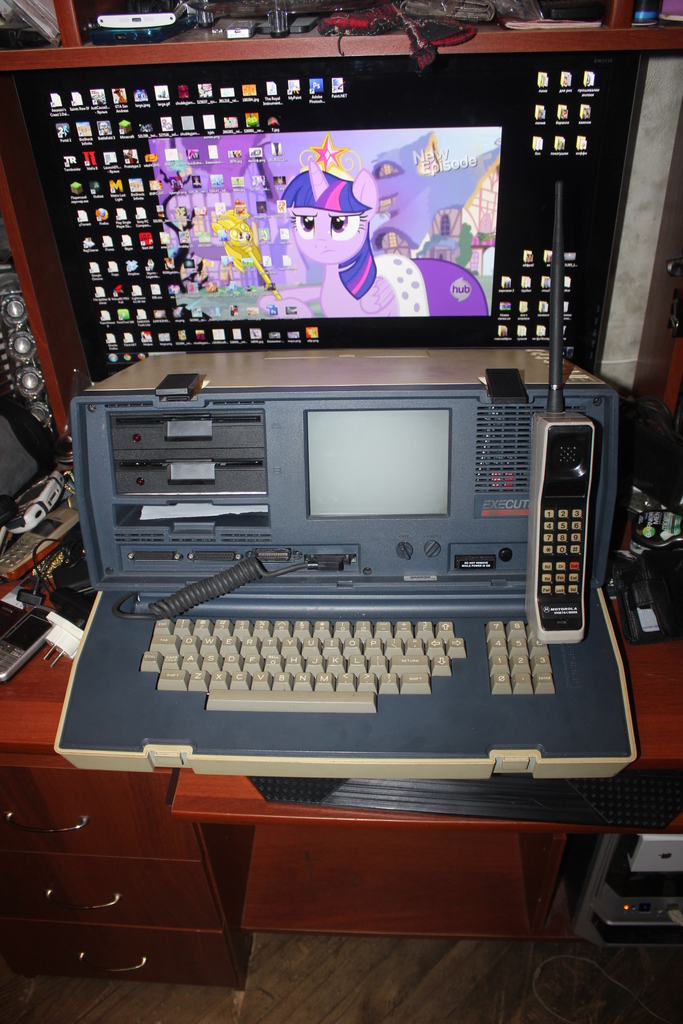 #529075 - safe, twilight sparkle, alicorn, pony, g4, adventure in the ...