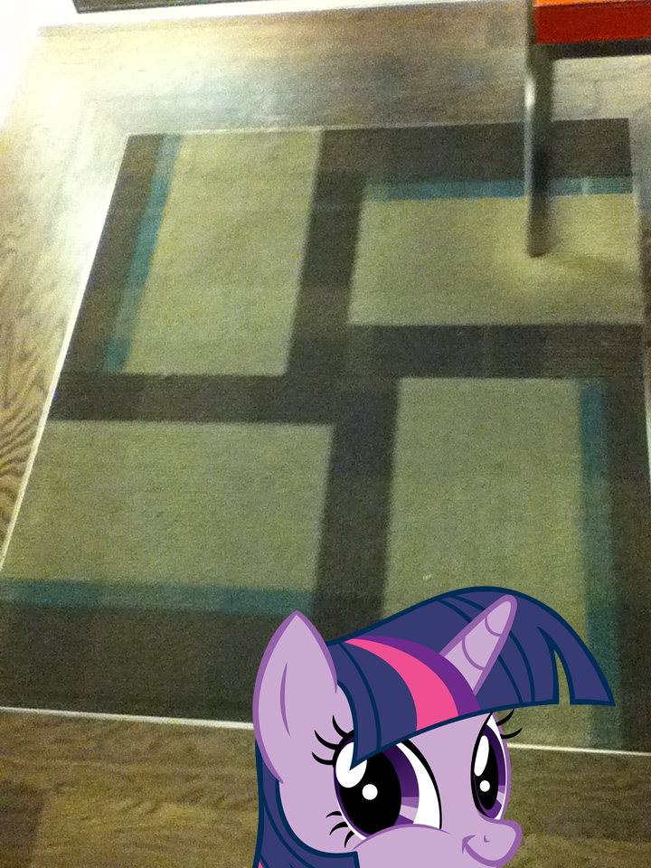 #513769 - safe, twilight sparkle, g4, carpet, nazi, solo, swastika ...