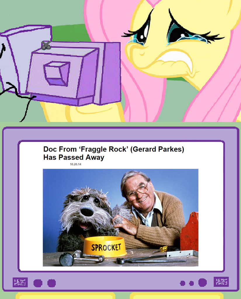 #747960 - safe, fluttershy, human, g4, doc, exploitable meme, feels ...