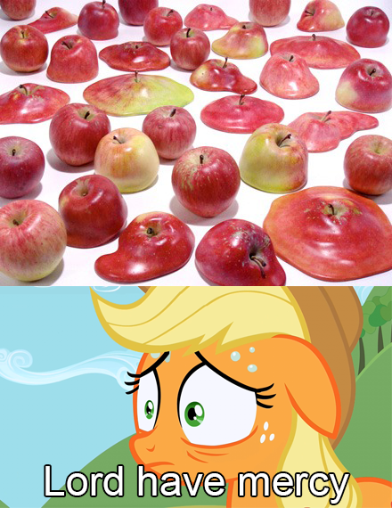 #750028 - safe, applejack, apple, female, nervous, solo, sweat, wax ...