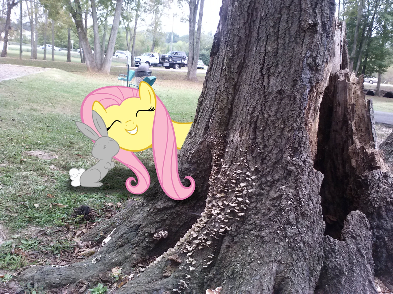 #581758 - safe, artist:datnaro, artist:tokkazutara1164, fluttershy ...