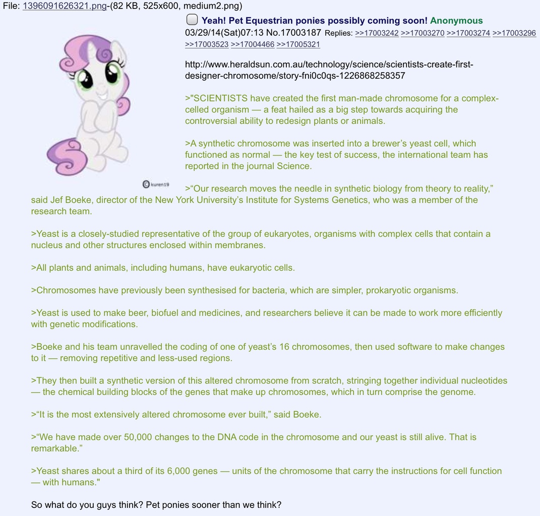 #587985 - safe, sweetie belle, g4, /mlp/, 4chan, 4chan screencap ...