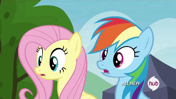 604724 Safe Screencap Fluttershy Rainbow Dash Trade Ya Animated Cute Dashabetes
