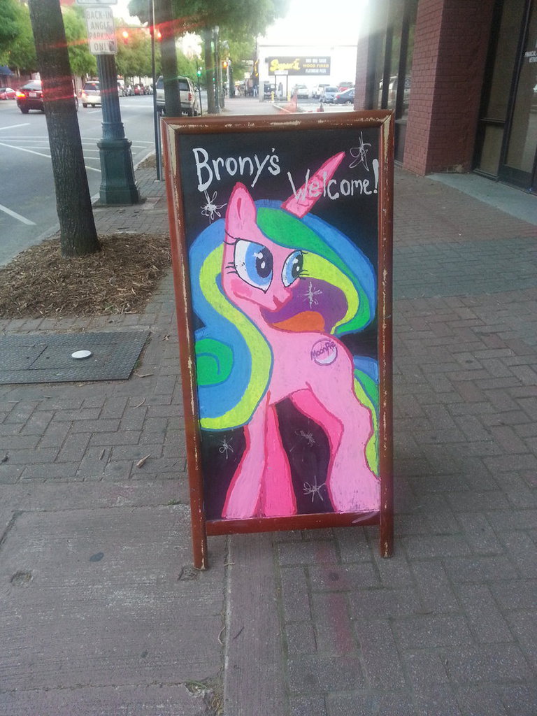 #611998 - safe, pony, brony, chalk, chalk drawing, irl, misspelling ...