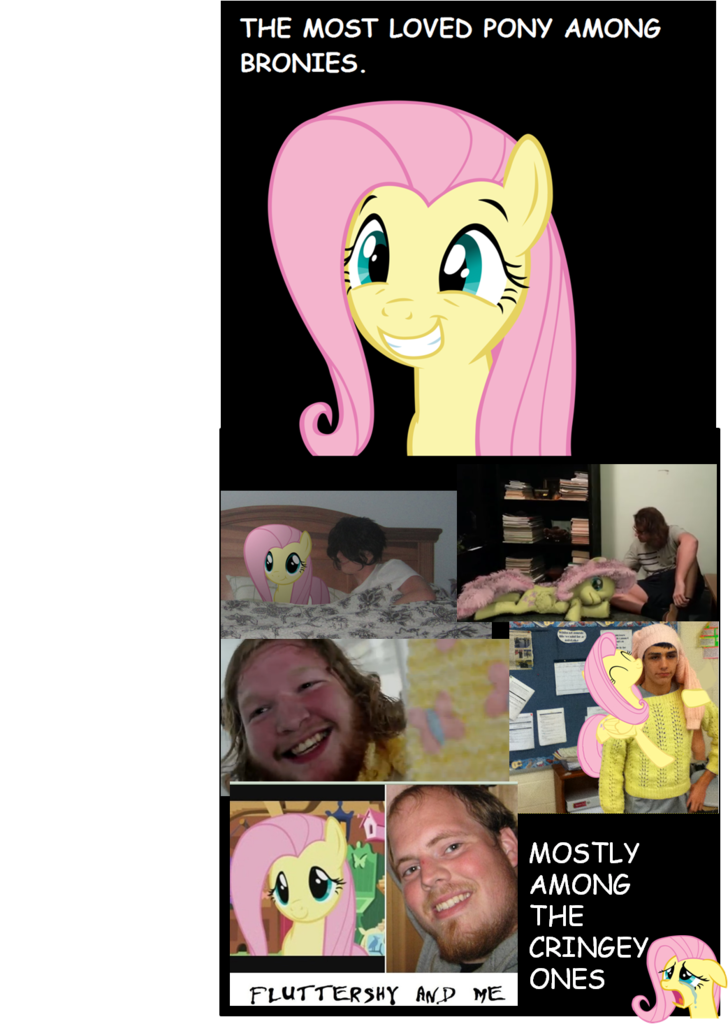 #594233 - safe, fluttershy, g4, brony, irl, metalgriffen69, mirceakitsune, op is trying to start ...