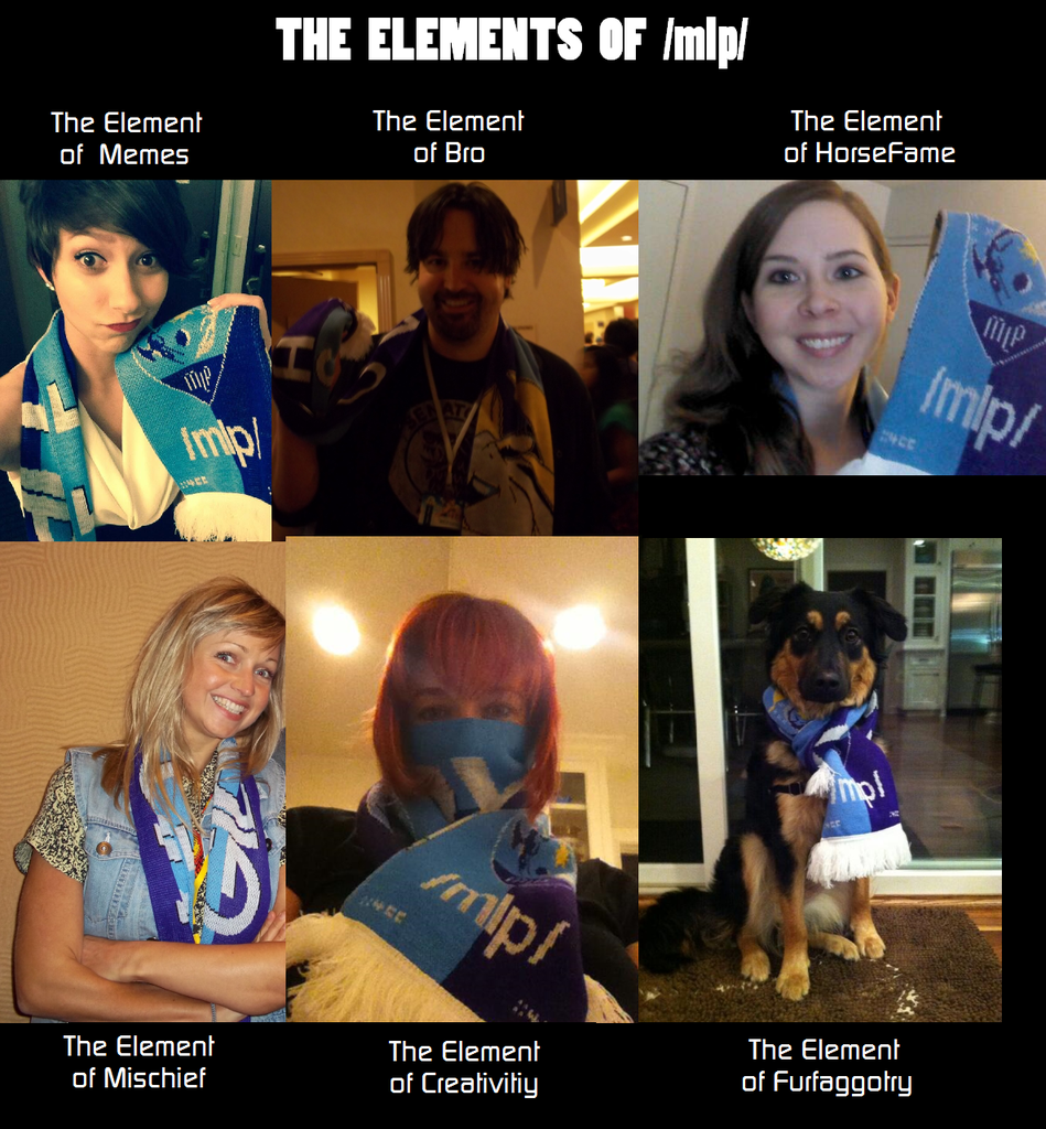 #643301 - safe, dog, human, /mlp/, 4chan cup, 4chan cup scarf, ashleigh ...
