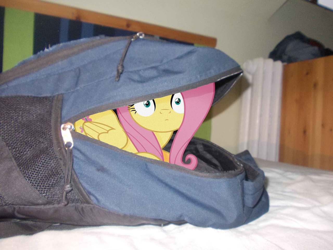 #664599 - safe, artist:hundebleonidasx, artist:masem, fluttershy, g4 ...