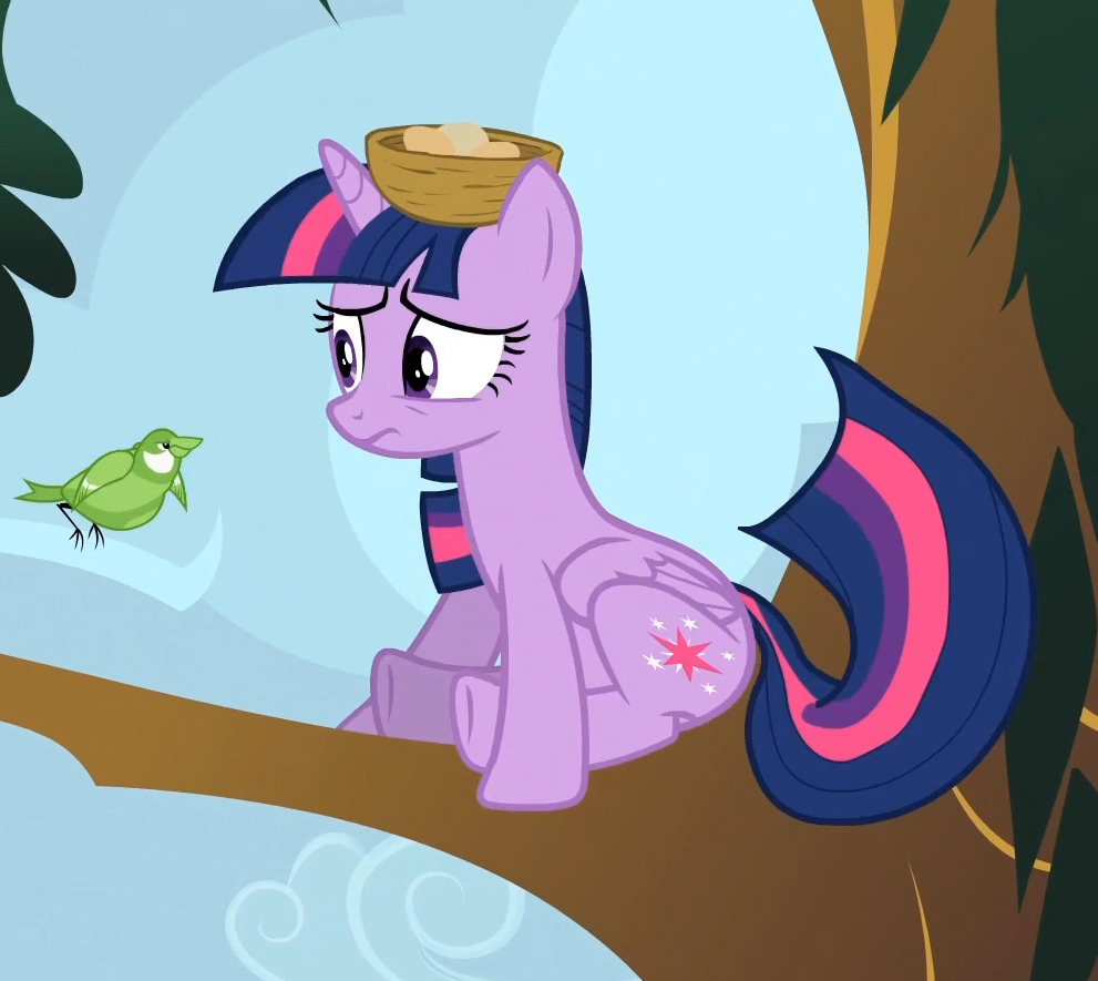 #665297 - safe, screencap, twilight sparkle, alicorn, bird, pony ...