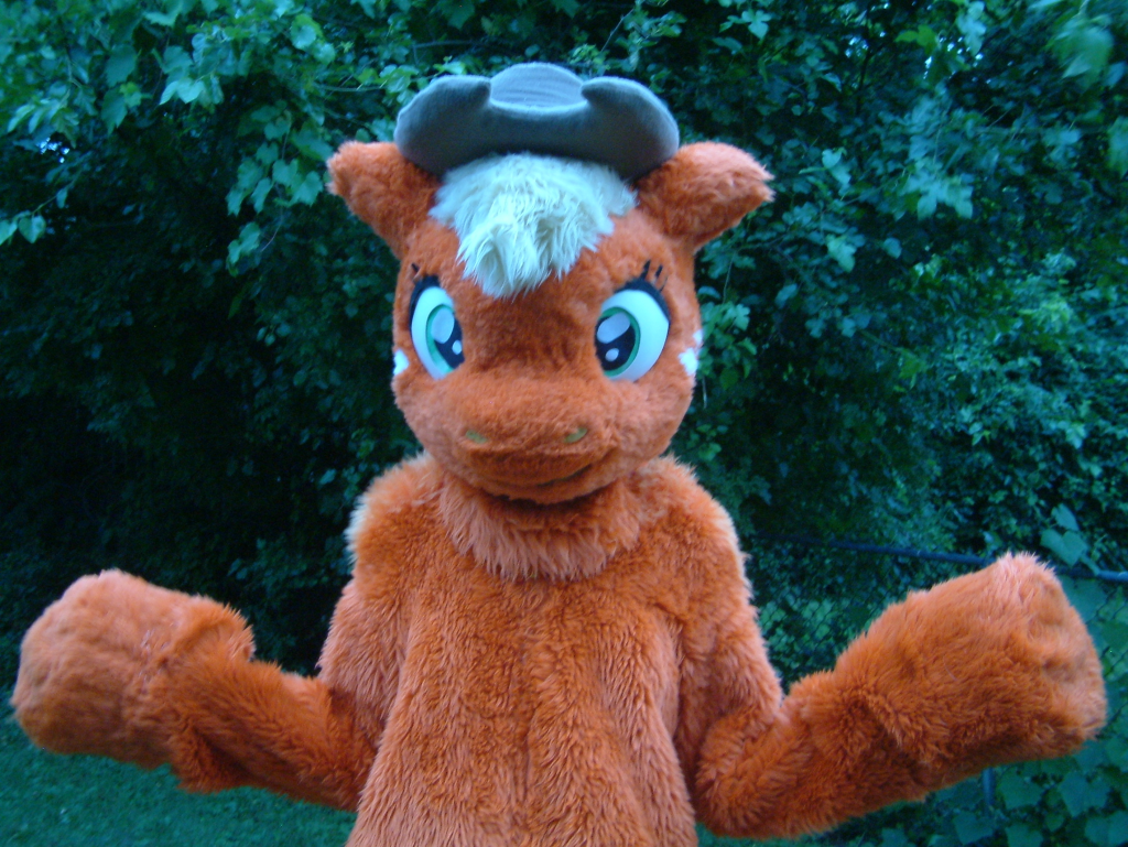 #676948 - safe, applejack, human, g4, clothes, costume, fursuit, irl ...